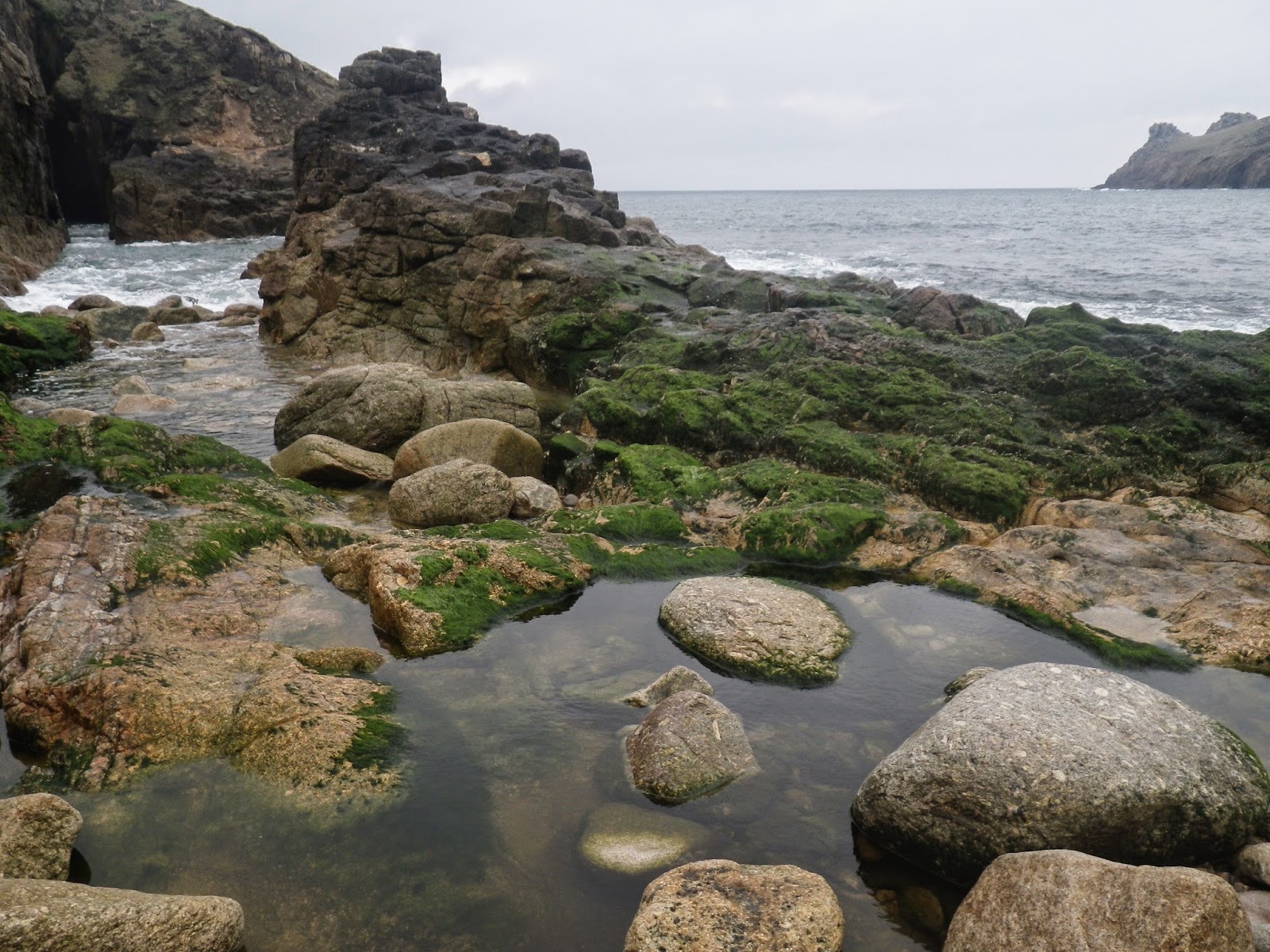 Rock Pooling: May 2014