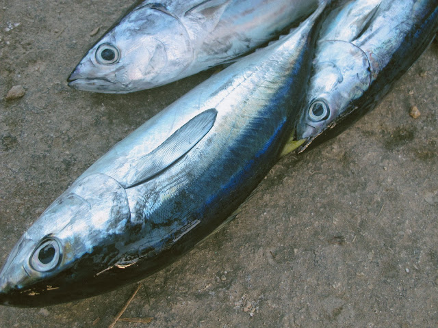 GUIUAN, EASTERN SAMAR | A Photographic Diary