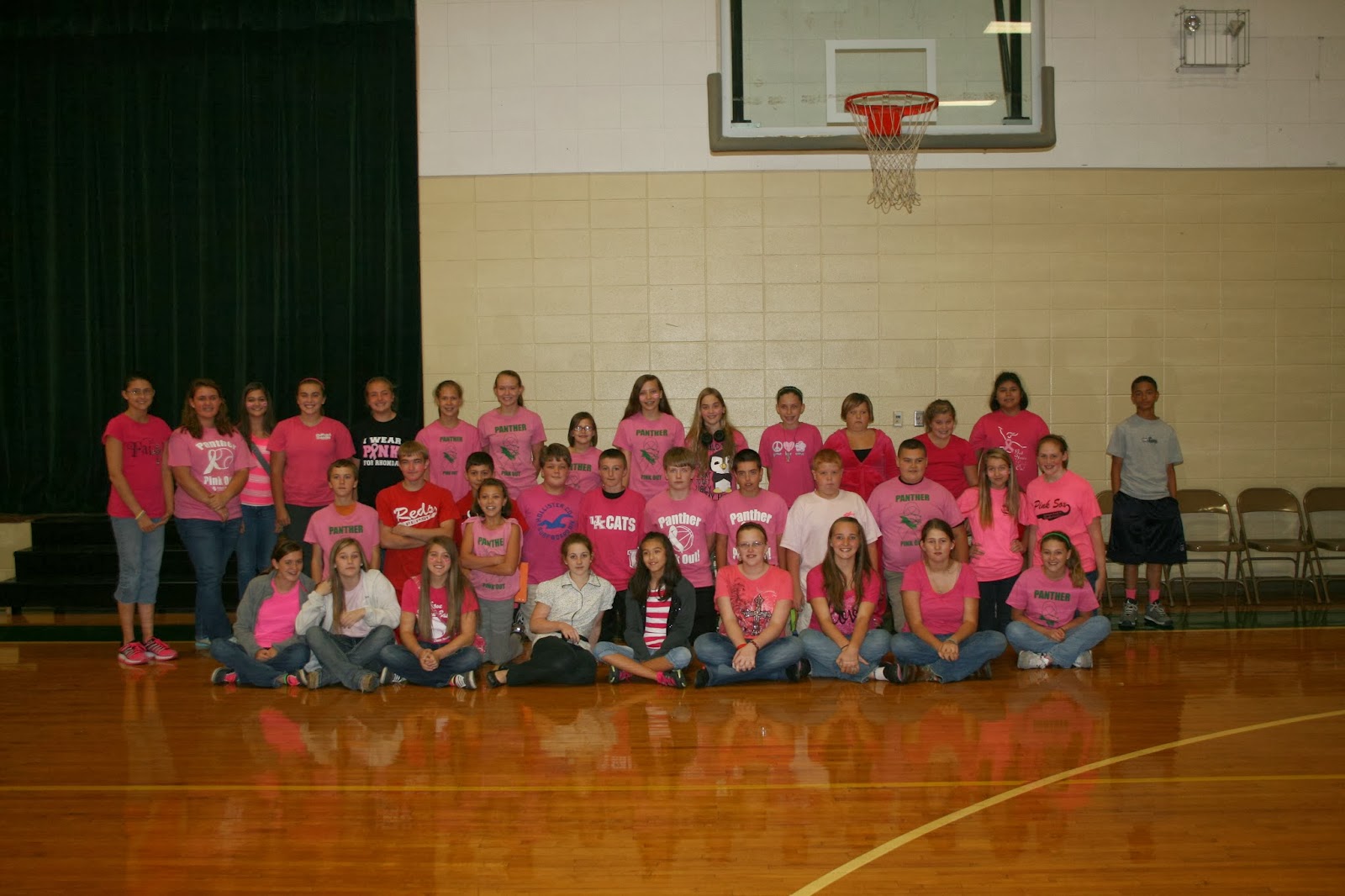 A Look Inside CCMS: CCMS PINK OUT