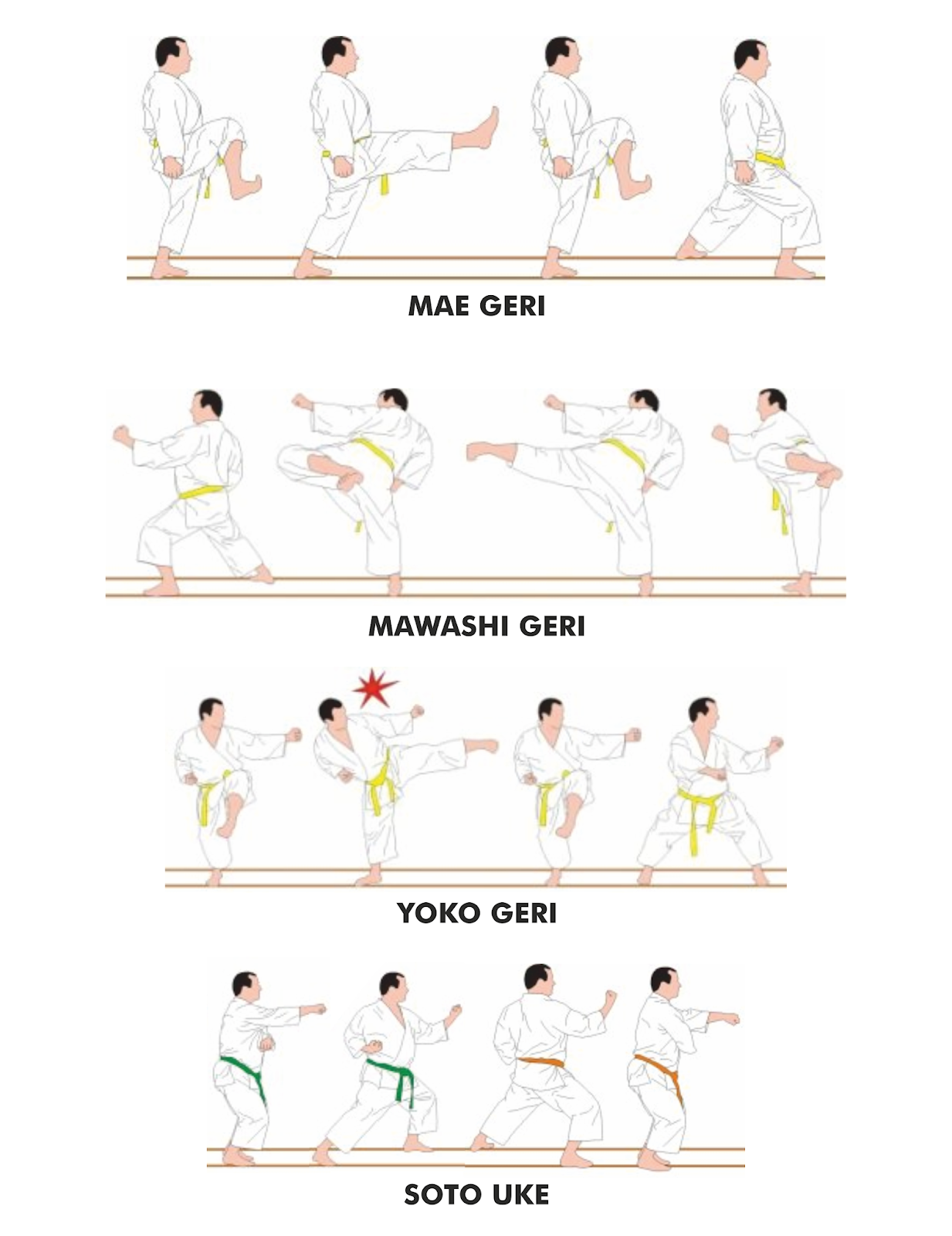 IMPLEMENTOS PARA KARATE DO: EVALUACIONES