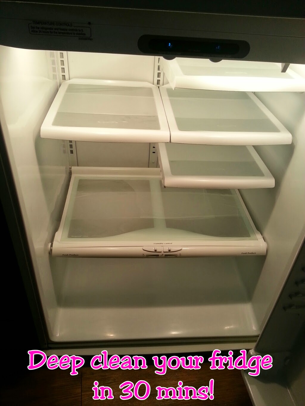 A Southern Bell's Guide to DIY!: Deep Clean and Organize the ...