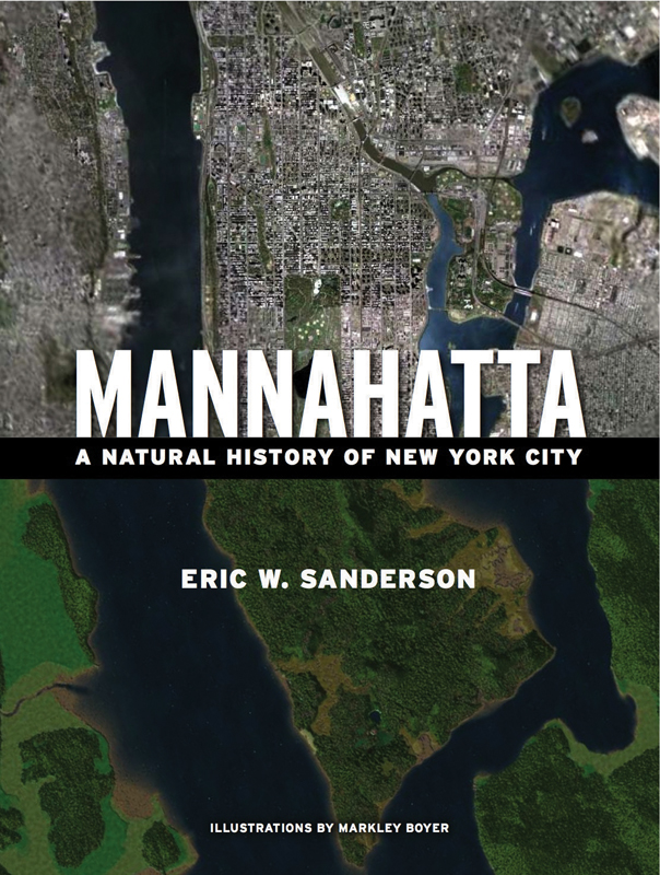 Paul' Web Logs: Mannahatta / Manhattan