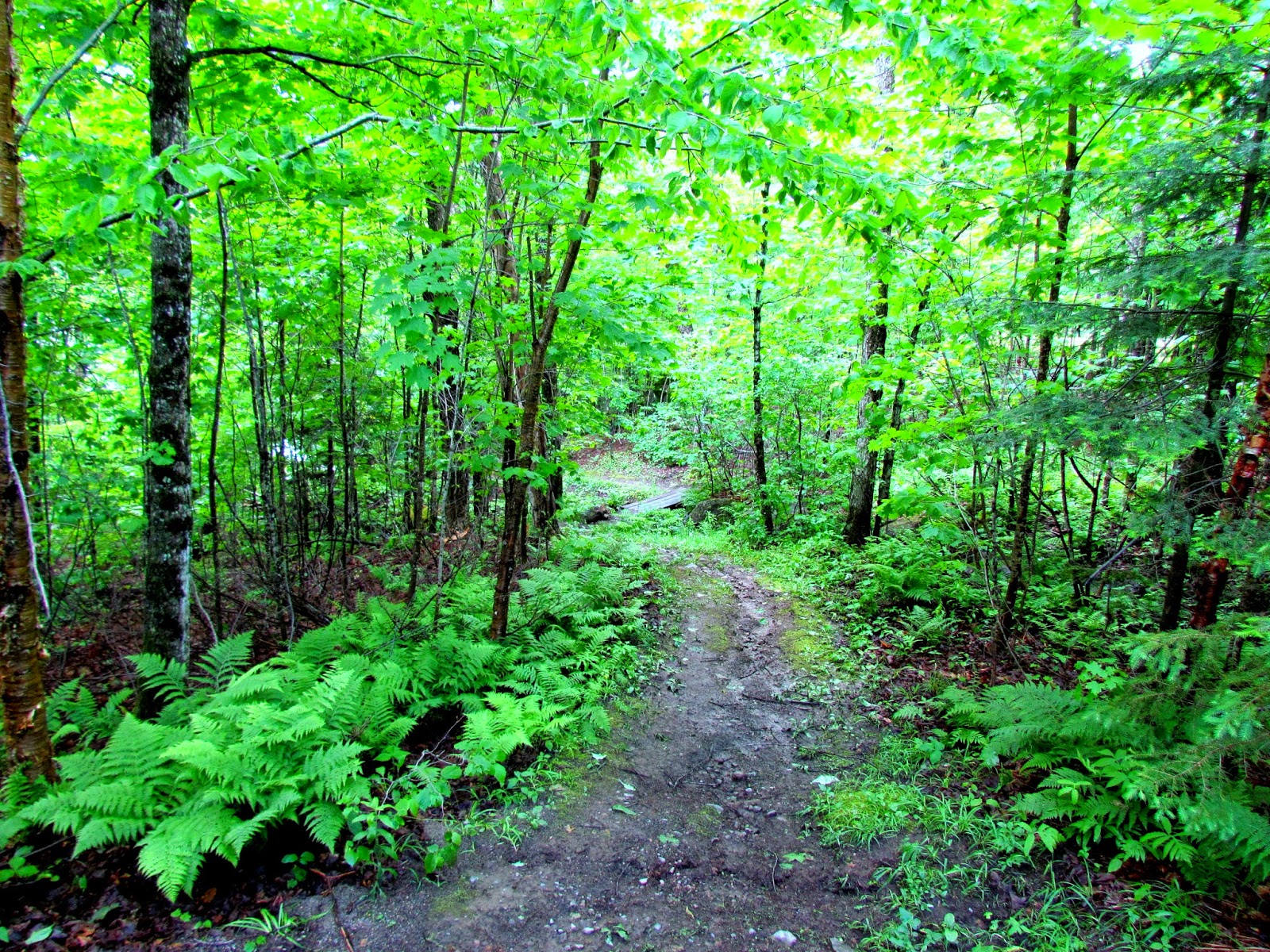 Terrain Val-David: Terrain Val-David