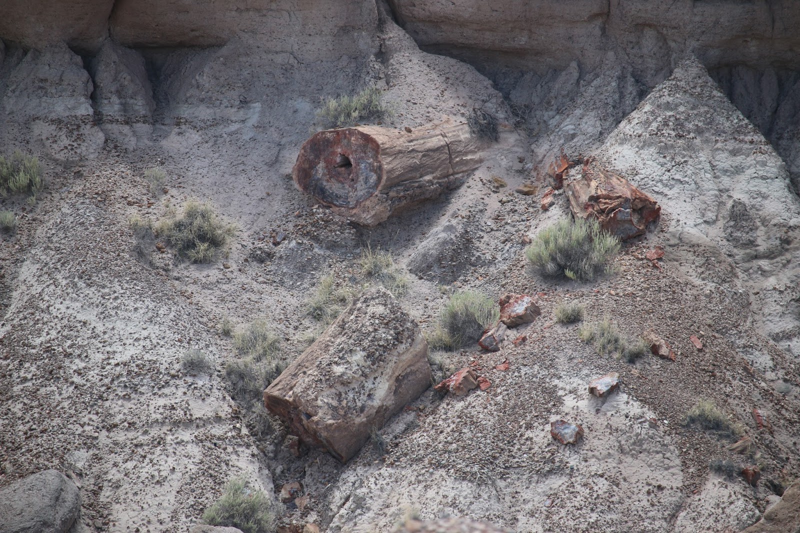 gjhikes.com: First Forest Point