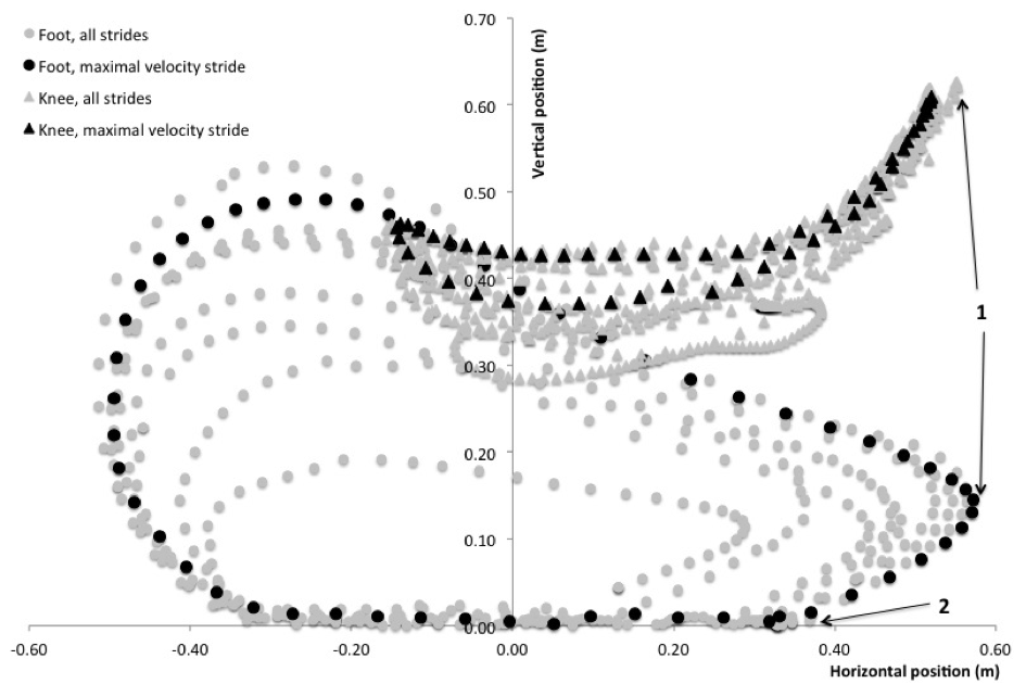 JB Morin - Sport Science: Sprint Acceleration Mechanics: The Major Role ...