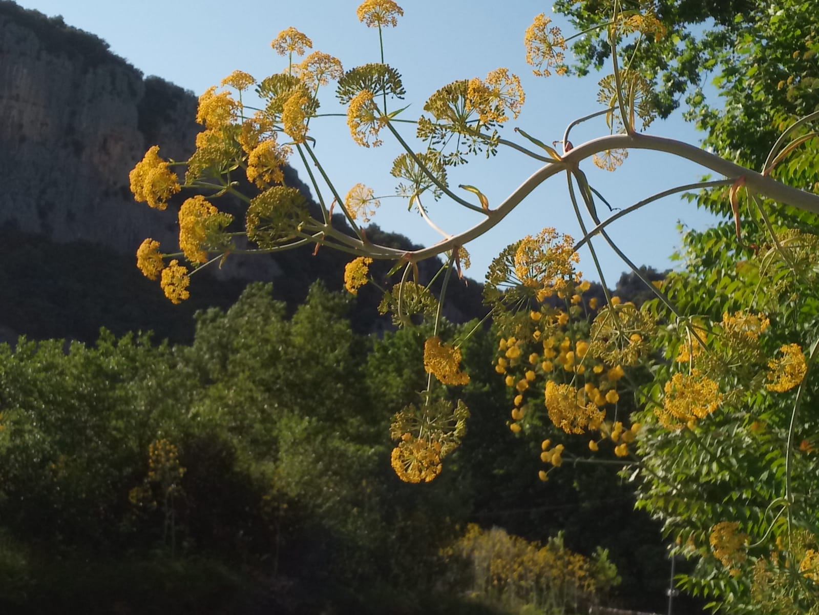 mursmures décoration intérieure et extérieure