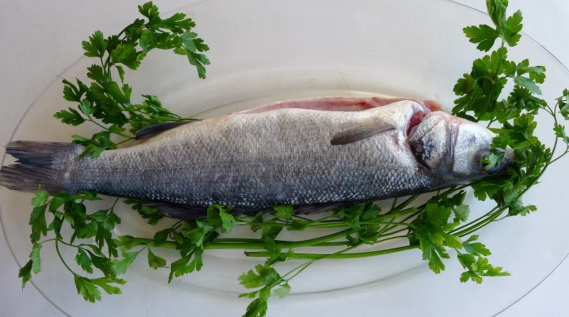 MY KITCHEN IN SPAIN: FISH -- FROM FARM TO TABLE