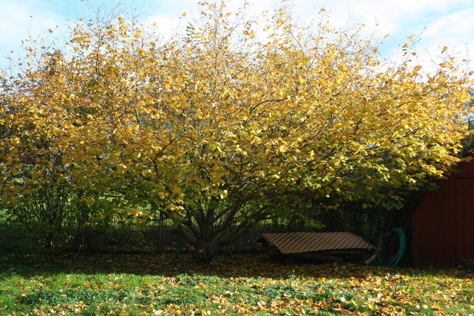 VANCOUVER ISLAND PARADISE