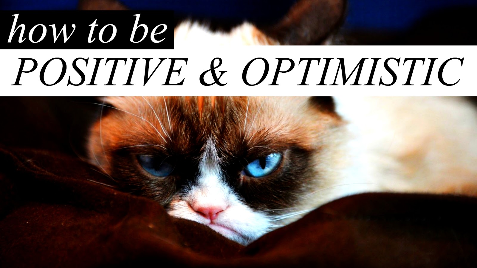 How to be Positive & Optimistic – ENGLISH VIDEO | Pure Power Panda
