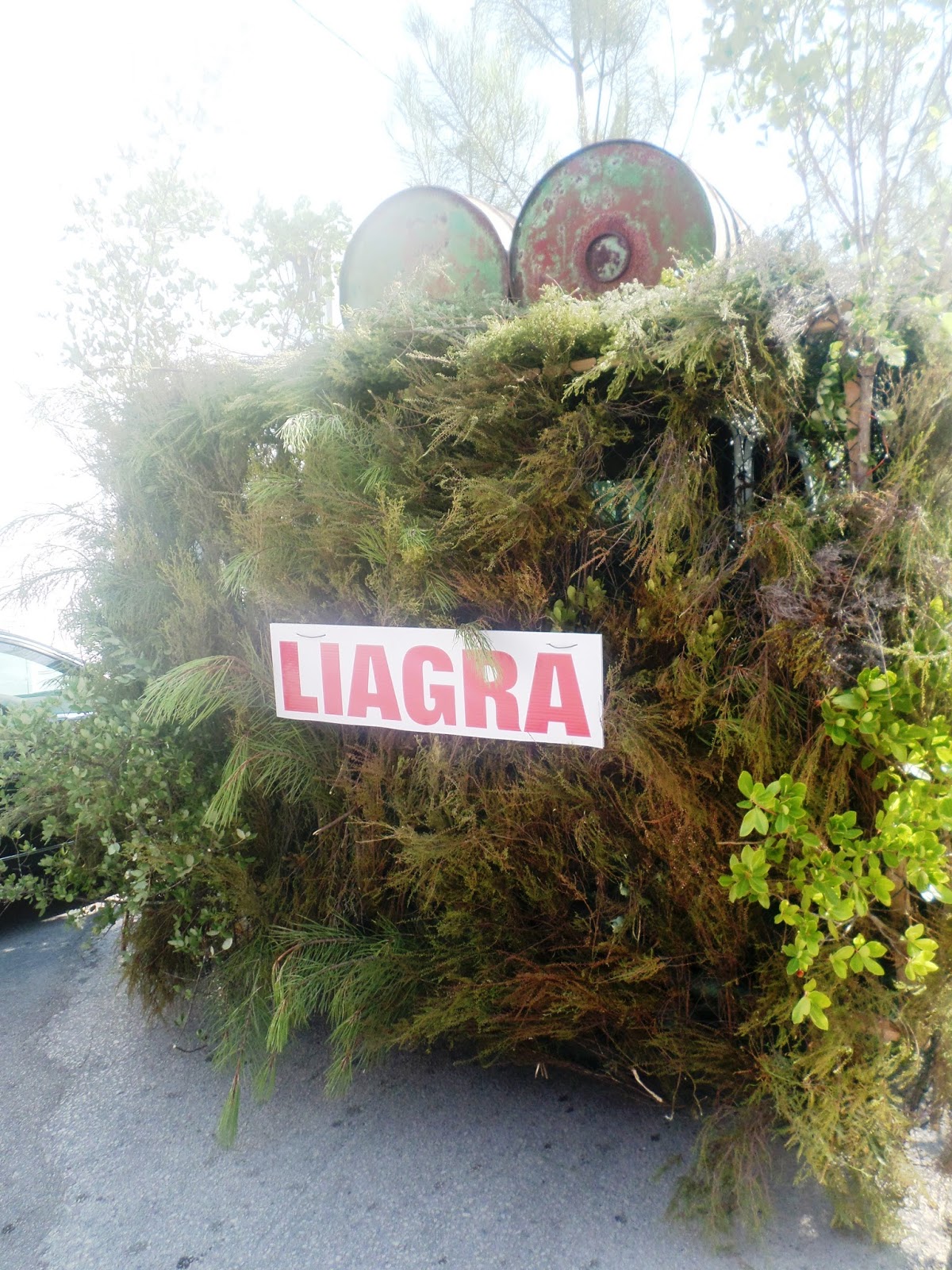Coysas e Loysas sobre Ansião : Cortejo alegórico das Festas do Povo em ...