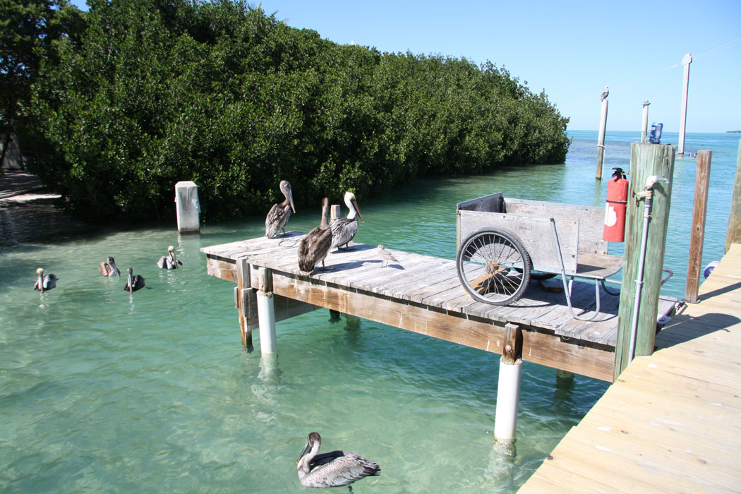 Da Miami alle Isole Keys