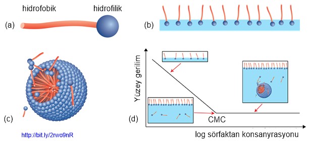 Prof. Dr. Bilsen Beşergil: Misel, Ters Misel, Kritik Misel ...