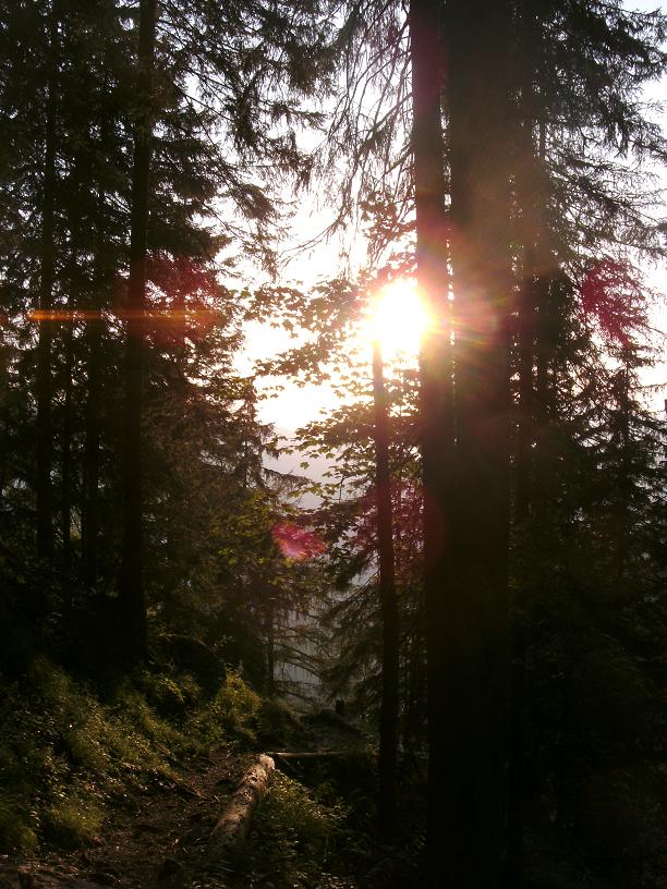 BERGHEIMAT: Rauhe Wand - Reiteralpe