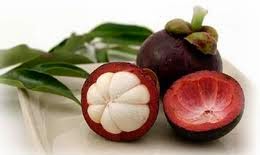 The benefits of mangosteen rind (Garcinia mangostana L) ~ My blog