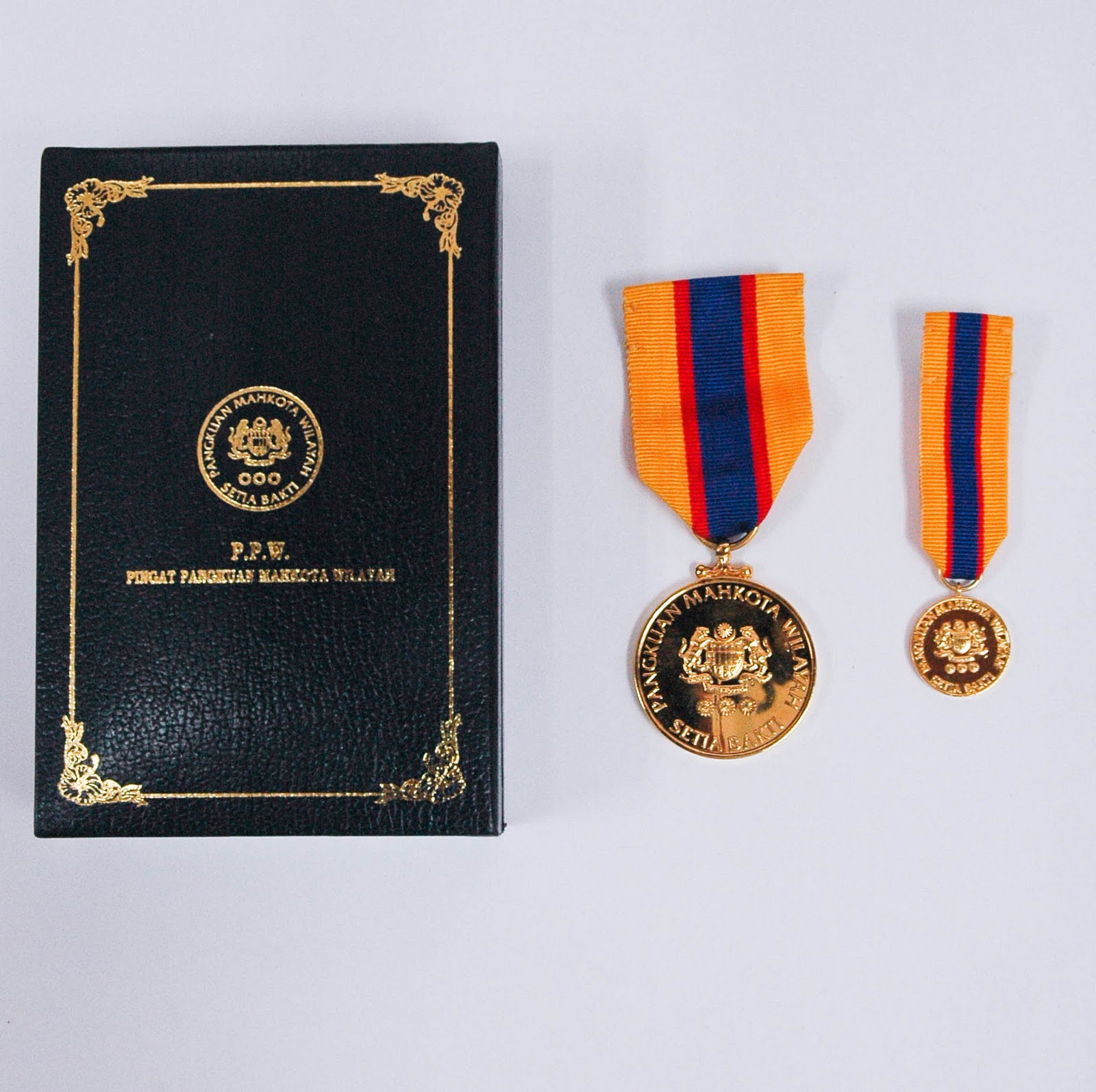 My Life's Journey as a Volunteer: Pingat yang diterima pada tahun 2010 ...