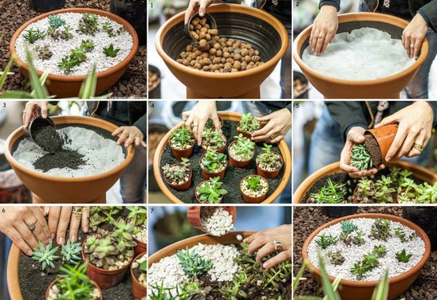 15 Simple But Creative DIY Ideas To Grow Plants And Decorate Your Home ...