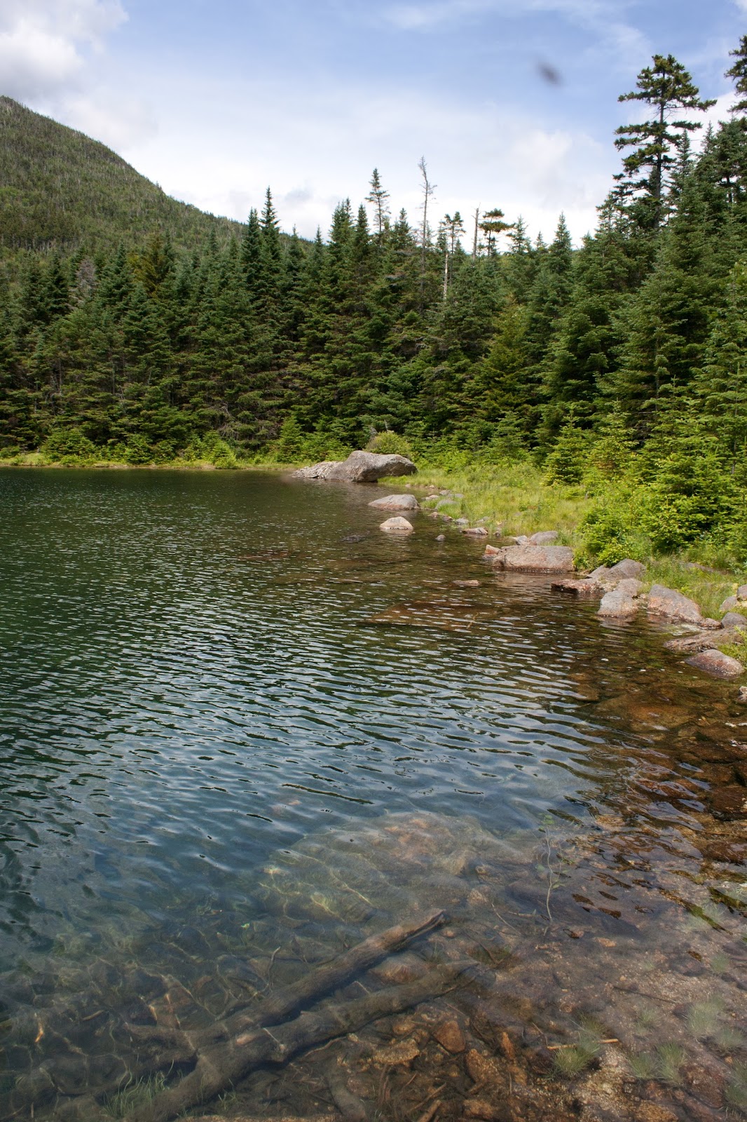 Trout Stream Day Dreams: Journey to a White Mountain Remote Pond