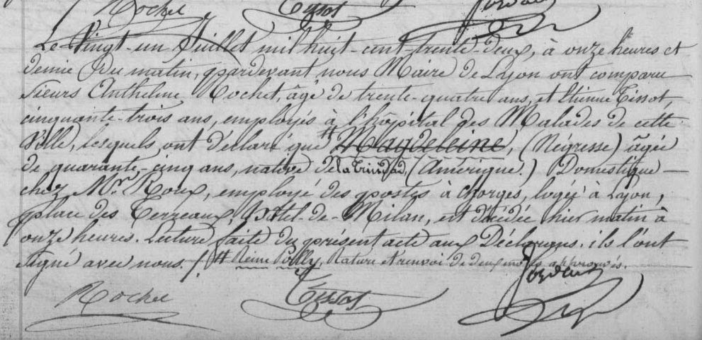 Arboretum familial: N comme... Négresse