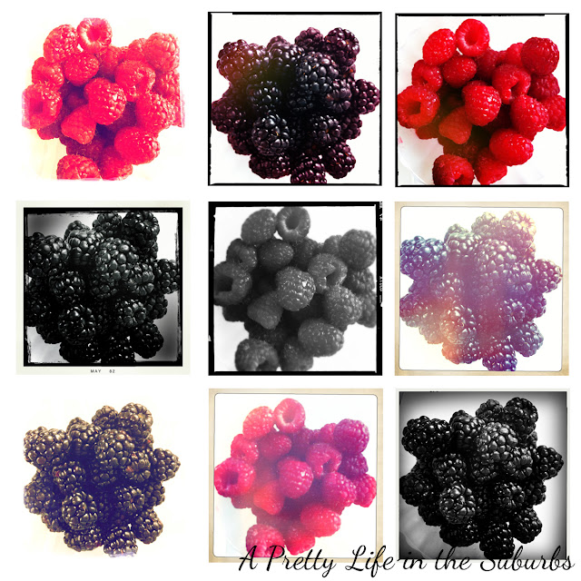 Ravishing Raspberries! - A Pretty Life In The Suburbs