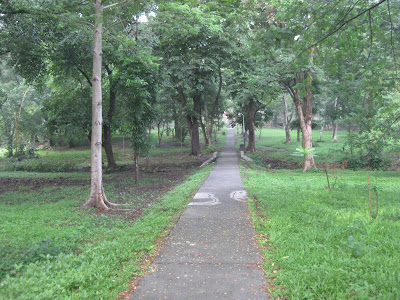 Regin's Realm: Open spaces in UP Diliman - The Beta Way