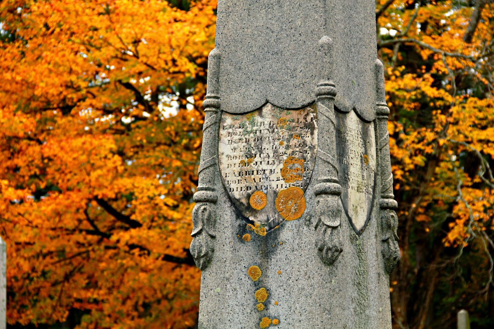 Taphophile Corner: The Inverted Torch Symbol