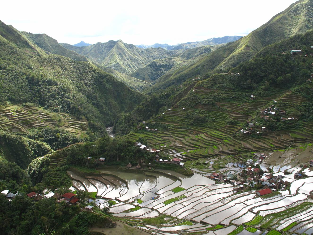 Hiking the Rice Terraces - Batad, Cambulo and Bangaan ~ Derek's Travels