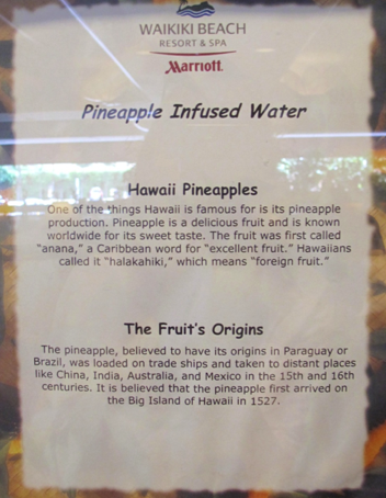 Cheerful Thrifty Door: Infused Water