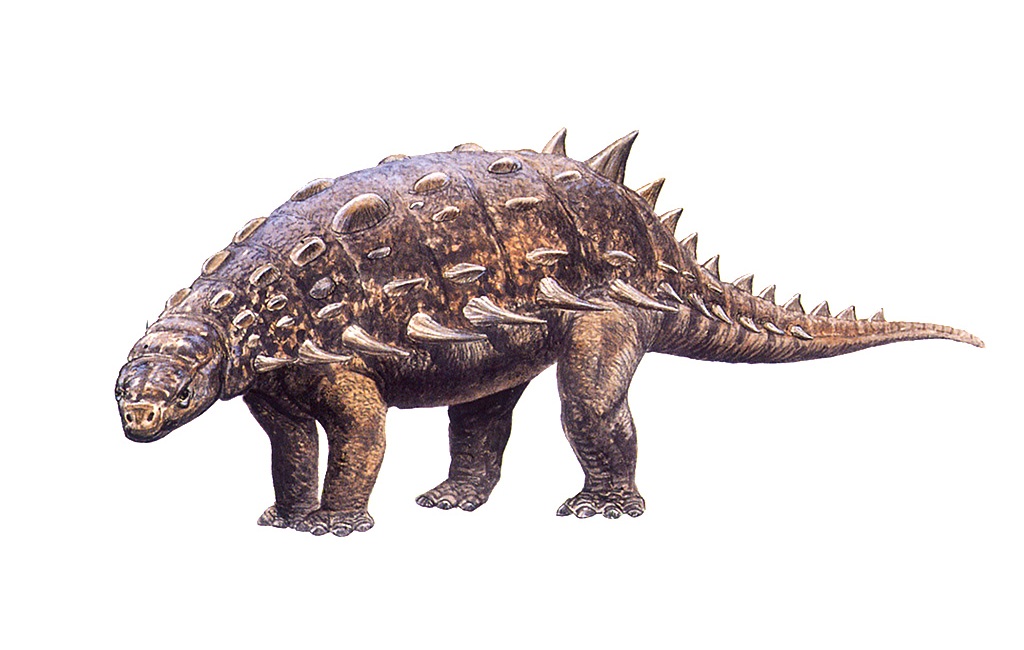 Os Fantásticos Animais do Planeta: Megalossauro, Iguanodonte e ...