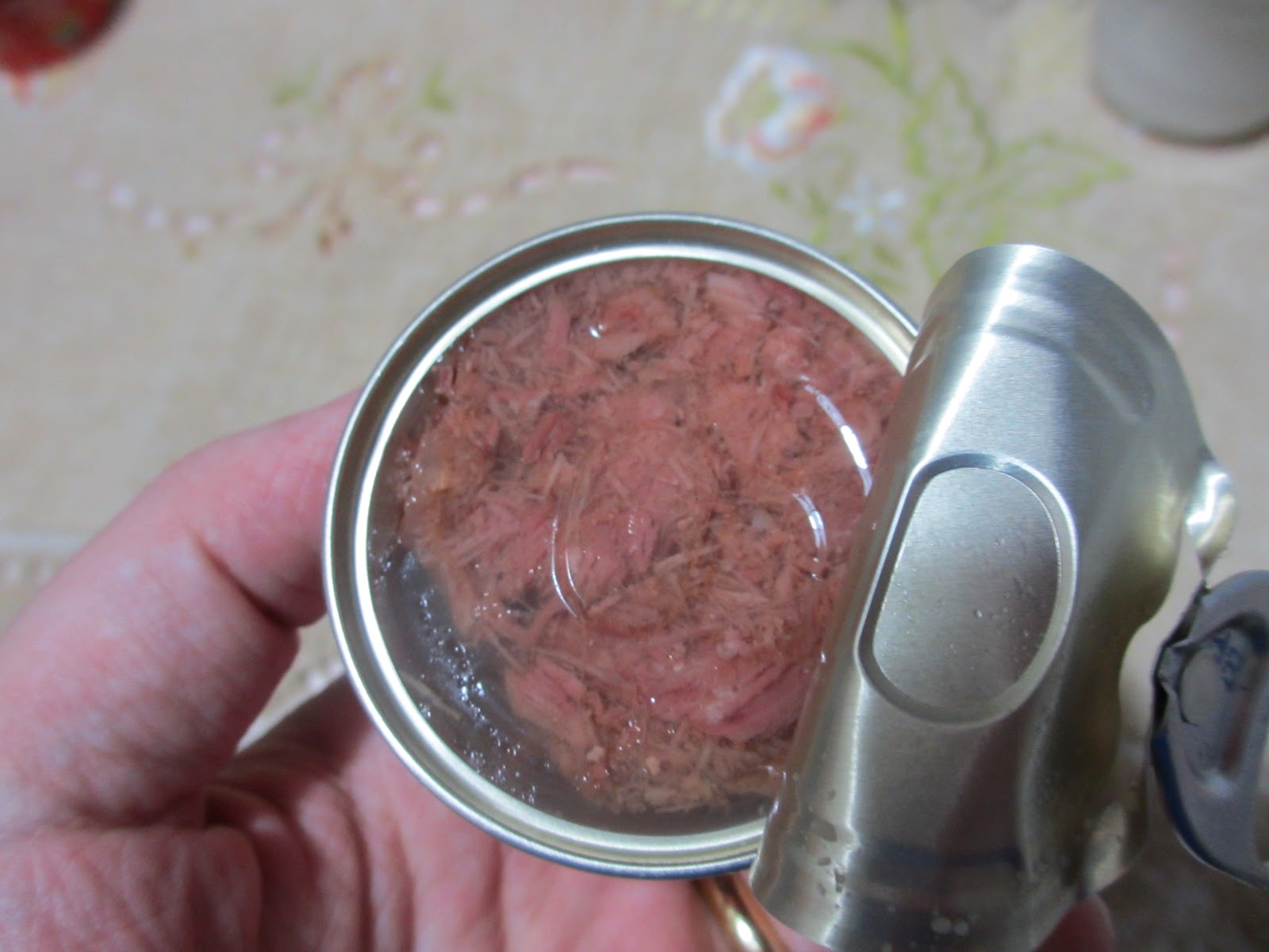 DI TUTTO UN PO': SIMMENTHAL: LA CARNE IN SCATOLA IN GELATINA