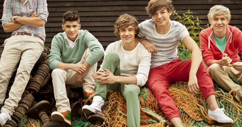 Jay's Blog: 1D Facts