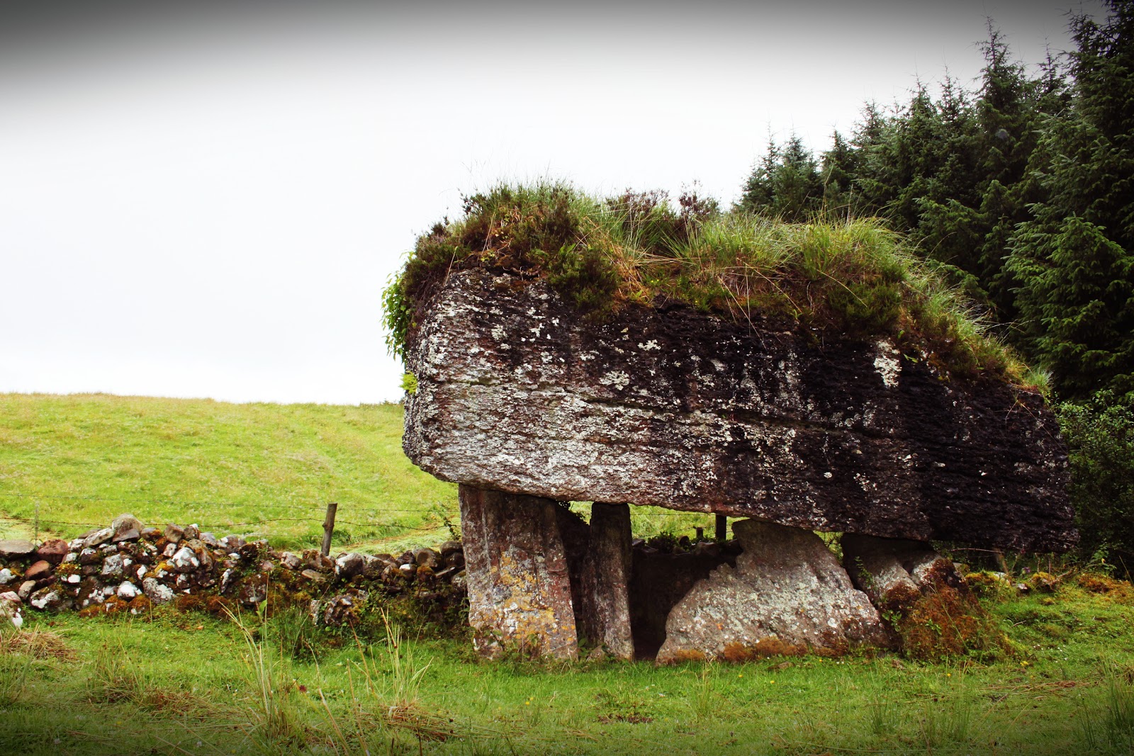 Historic Sites of Ireland: Carrickglass Portal Tomb aka The Labby Rock