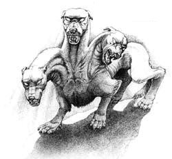 Myth: Cerberus