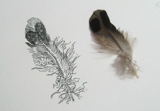 CCreech Studio: Creative Adventures: The Feather - In Progress