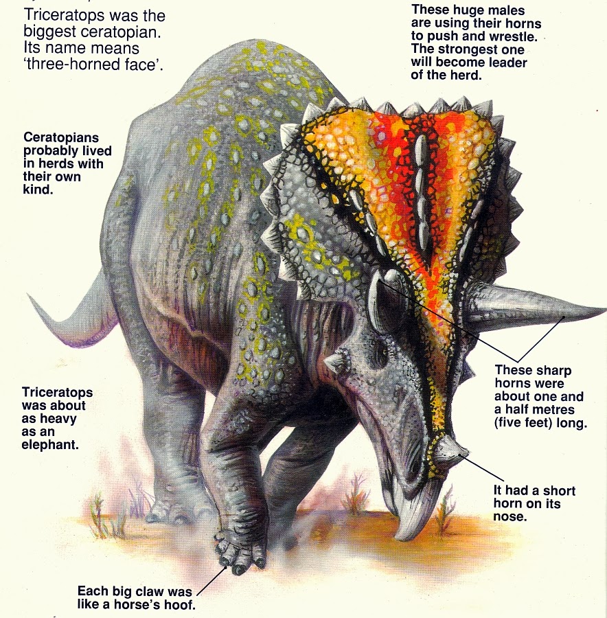 Love in the Time of Chasmosaurs: Vintage Dinosaur Art: The Usborne Book ...
