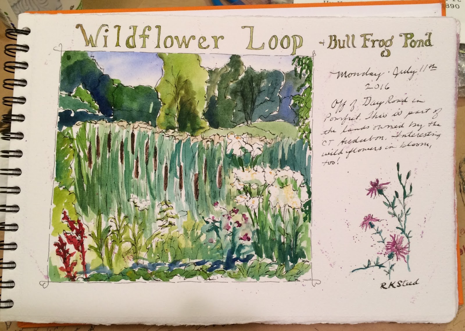 Roxanne Steed's Painting a Day: Nature Sketchbook Journaling class -CT ...