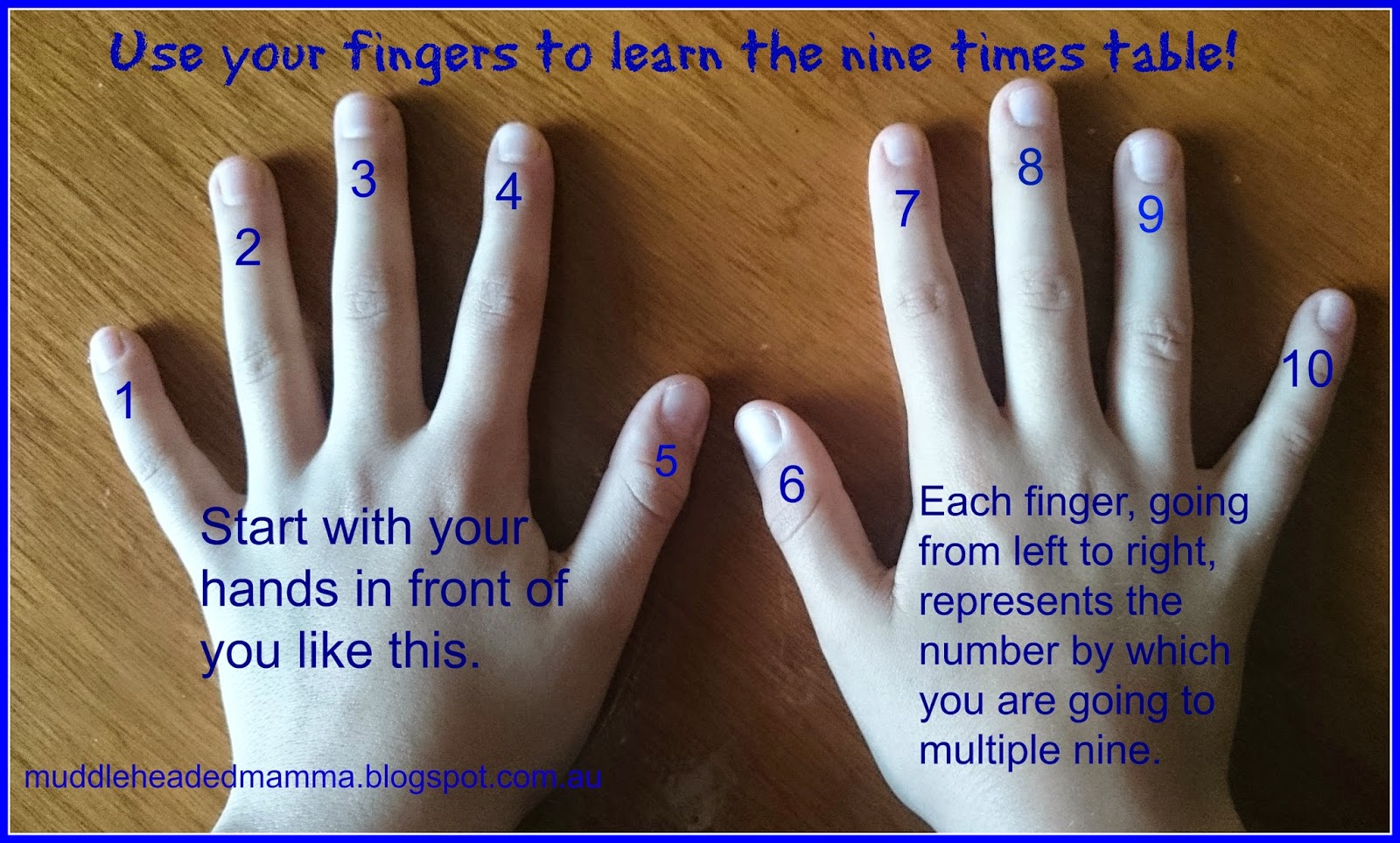 The Muddle-Headed Mamma: The Secret Life of the Number Nine