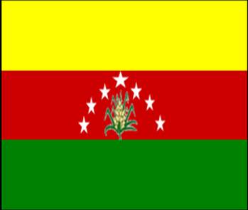 banderas locales (municipales y parroquiales) venezolanas: banderas ...