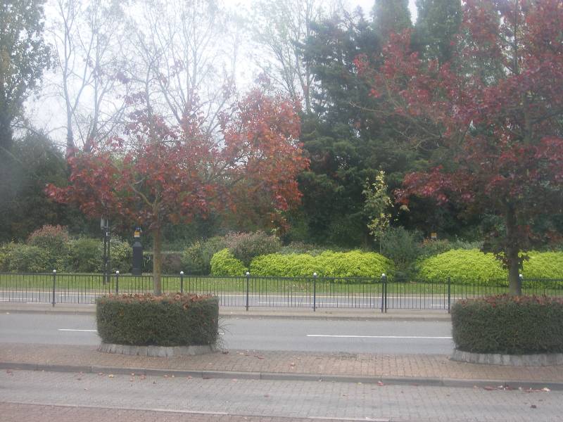 London buses one bus at a time: the return: The Number 203 Route