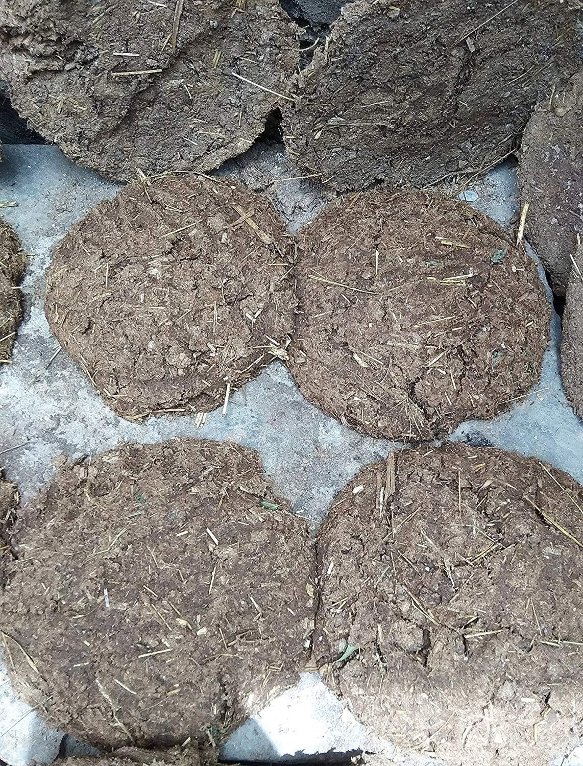 Pure Desi Cow Dry Dung Cakes (Gobar Upla, Thapdi, Gobar Kanda) for ...