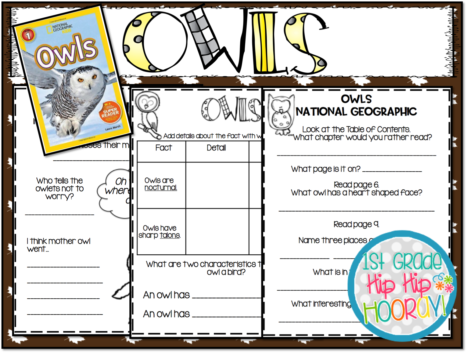 1st Grade Hip Hip Hooray!: Owls...Informational Text, Literature, and ...