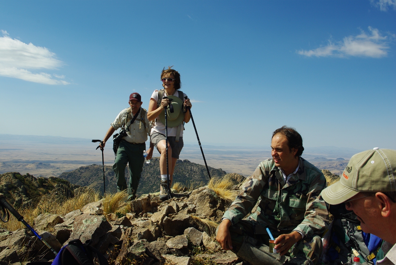 Here and There//Texas/New Mexico: Mt Livermore, Davis Mountains: Texas' #2