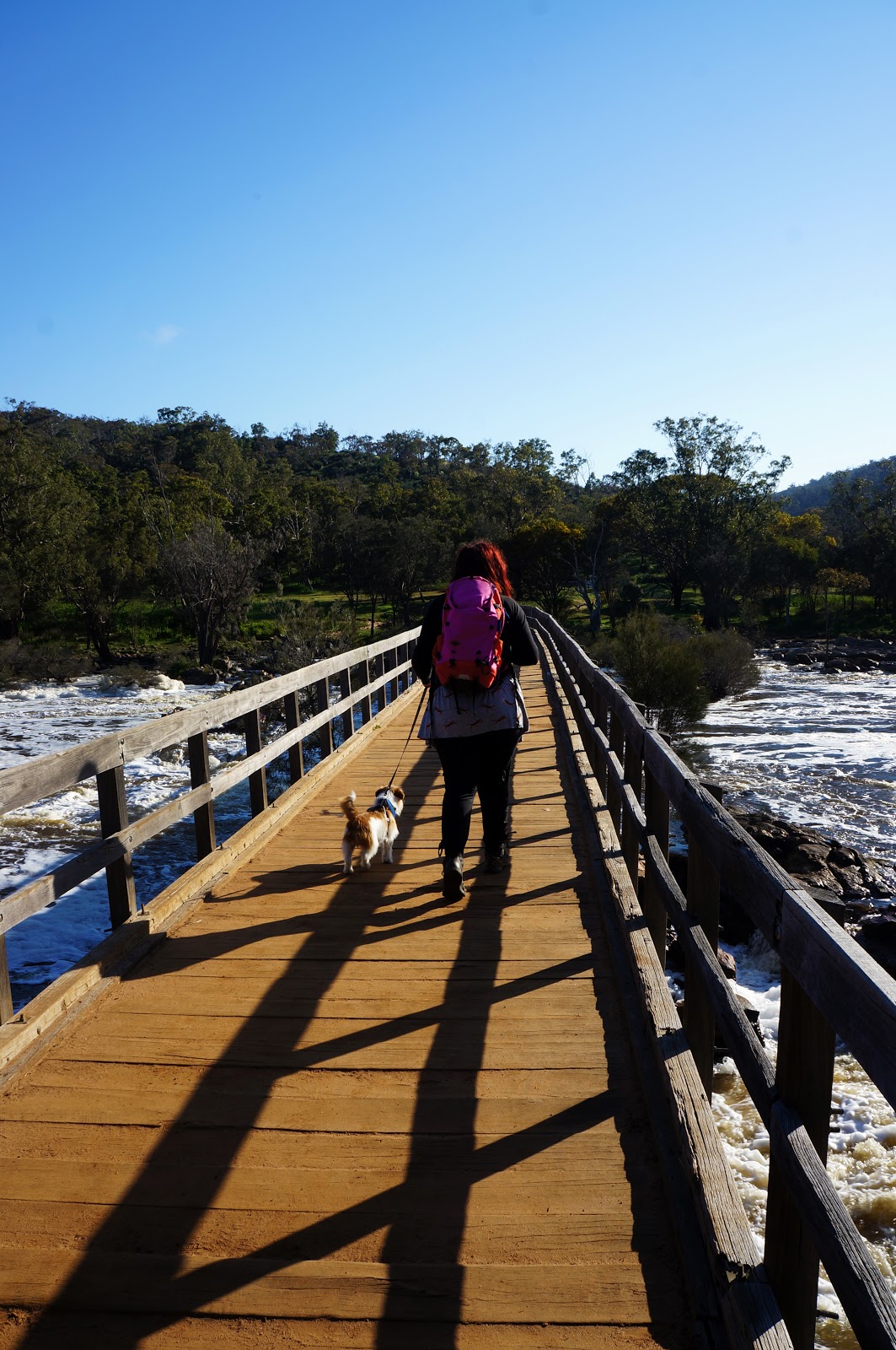 Bells Rapids Walk Trail (Bells Rapids Reserve) ~ The Long Way's Better