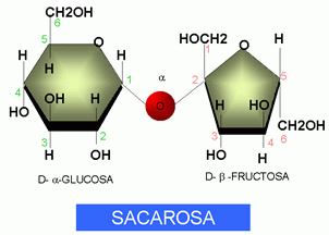 Disacáridos y Polisacáridos