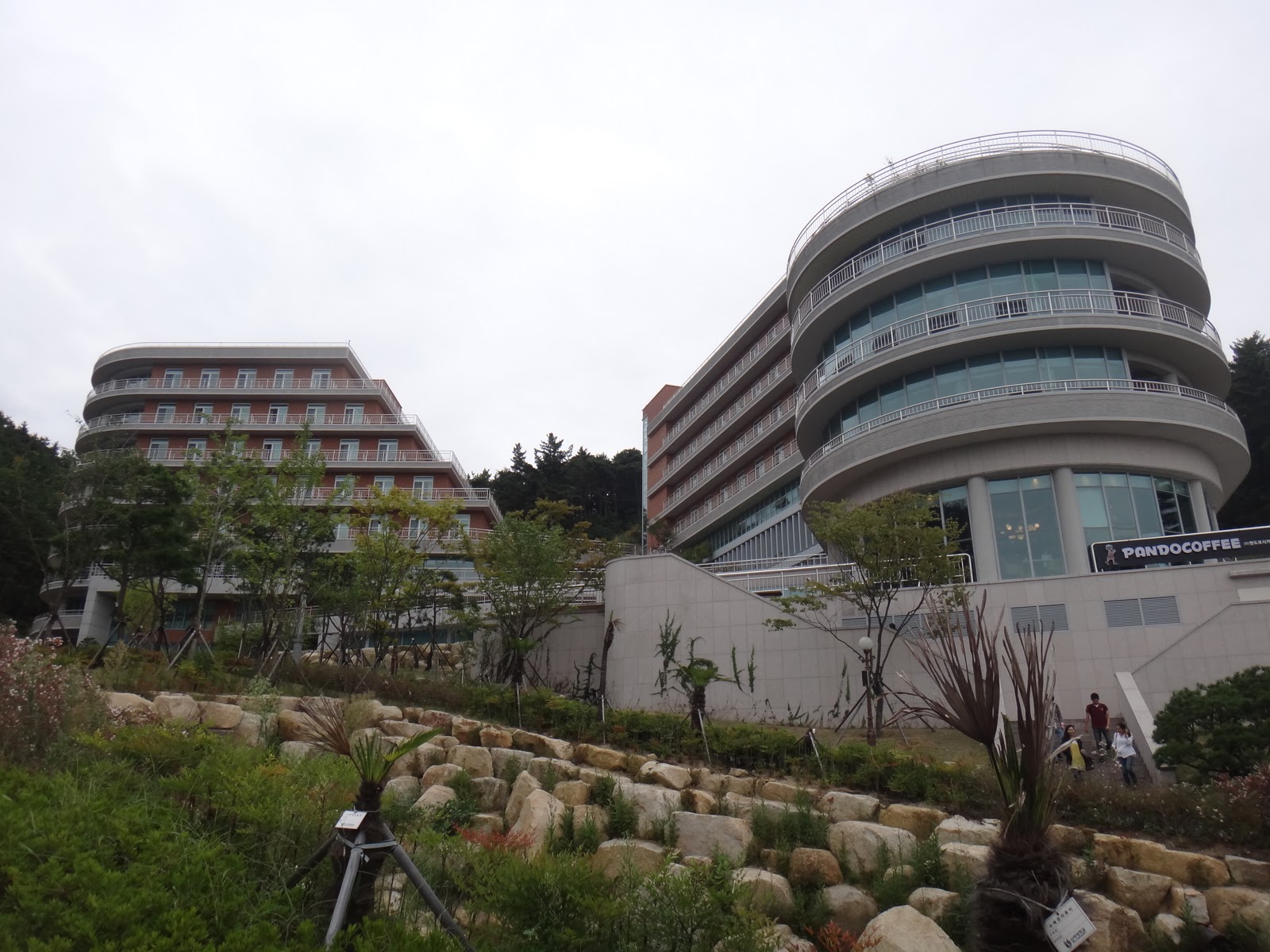 Kimchi Land Chronicles: Arrival in Silla University