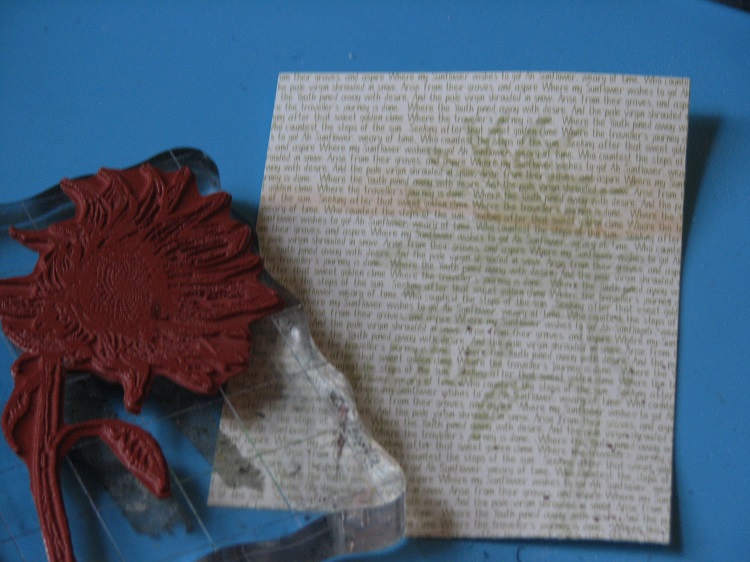 Ink Stains: Walnut Ink Crystals!