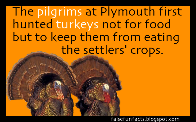 False Fun Facts Pilgrims False Fun Facts Pilgrims