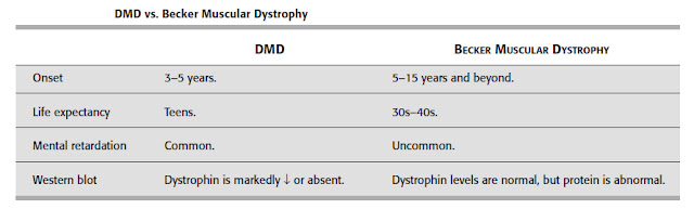 Medical Addicts: Duchenne Muscular Dystrophy (DMD) V/S Becker's ...