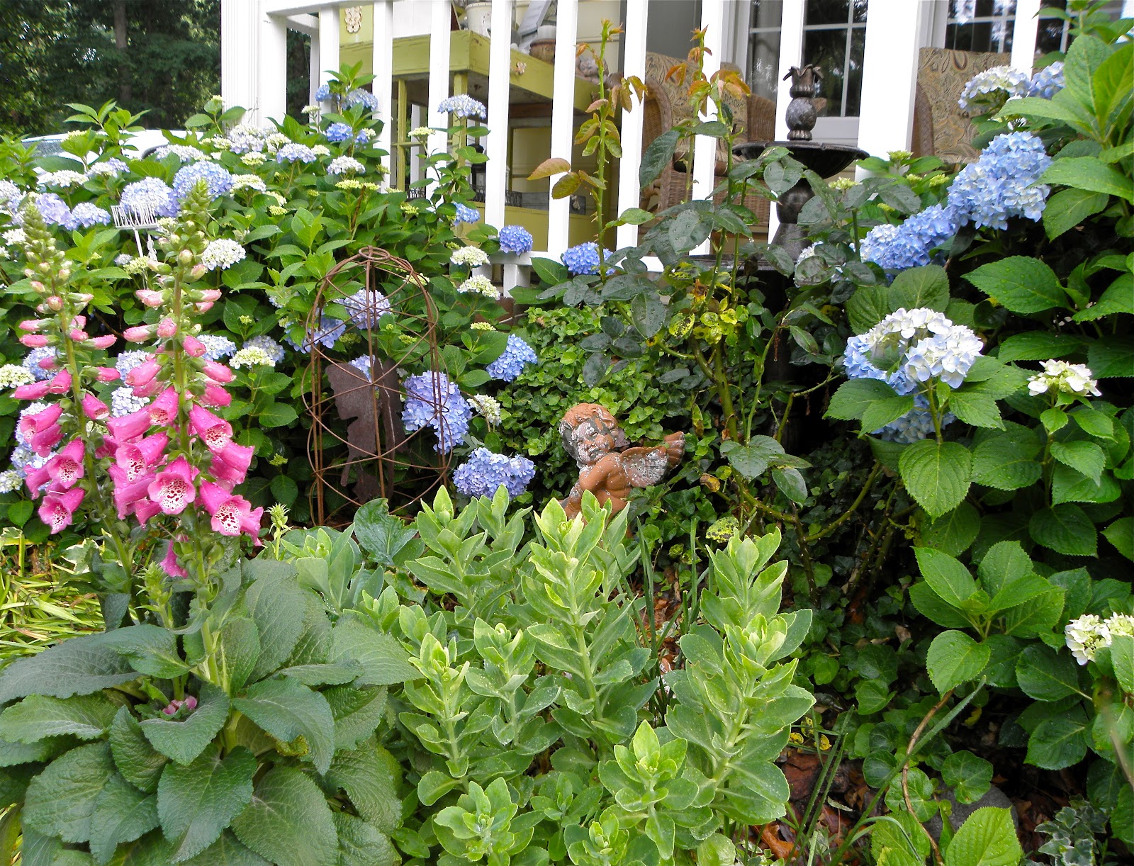 A Breath of Fresh Air: Blue Hydrangeas, my big garden love........