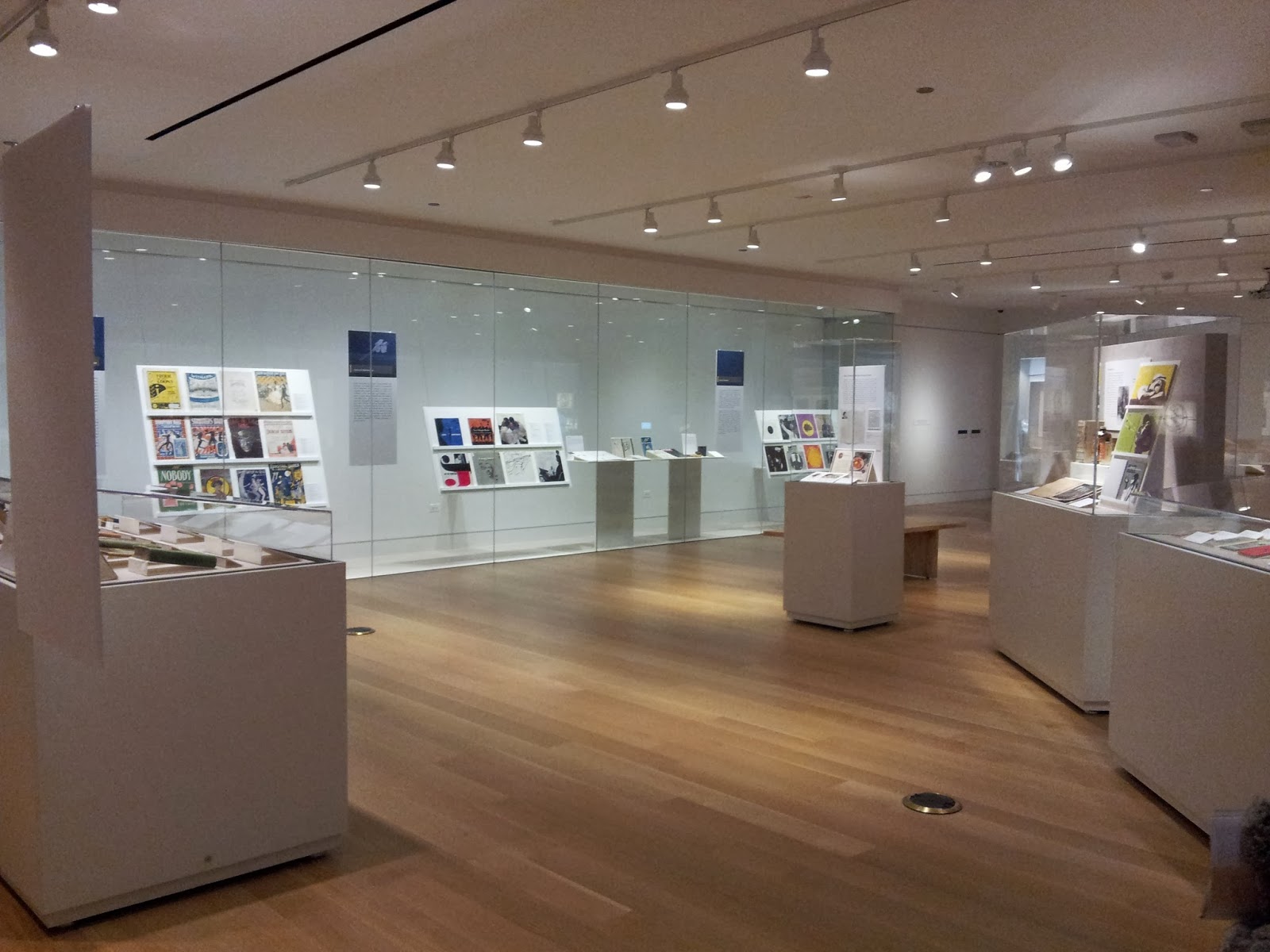 Fair White Frogman: Race and the Design of American Life: African ...