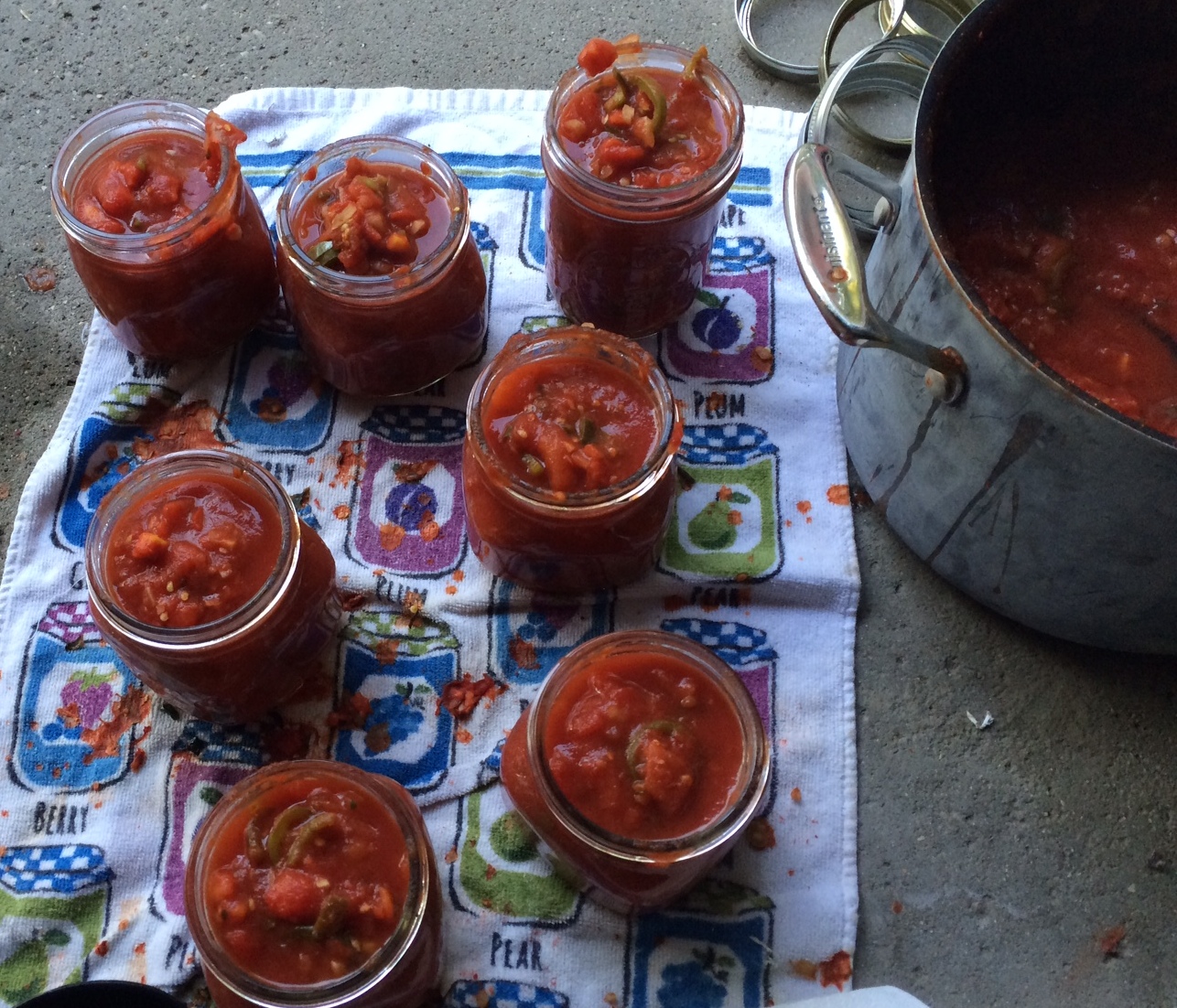 Mother's Kitchen: Salsa 2016